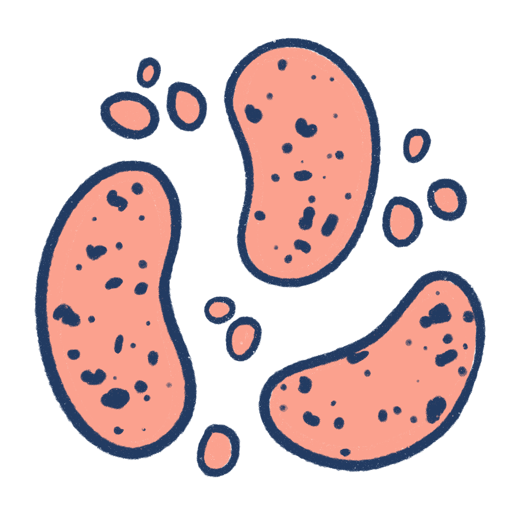 Butt & Gut Anal Pre and Probiotic Supplement | Future Method